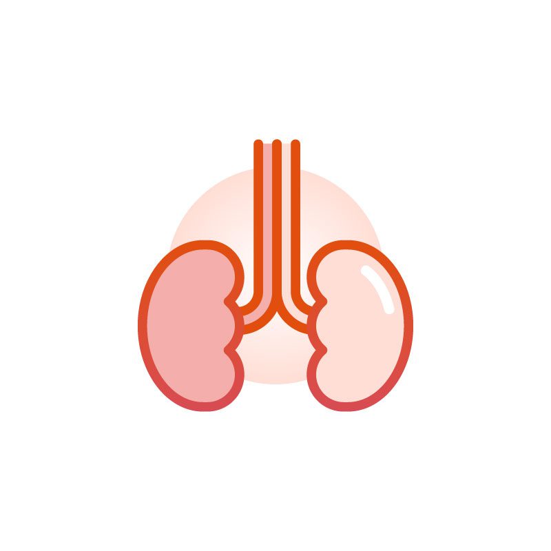Laser Stone Fragmentation - Urólogos en Vallarta